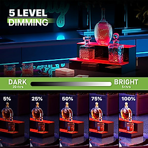 Magshion 2-Step Lighted Bar Shelves LED Lighted Liquor Bottle Display Shelf, 16" Dynamic Color Change Bottle Display, Home Kitchen Private Party Nightclub Decor, L20 Color Shifts w/Remote Control