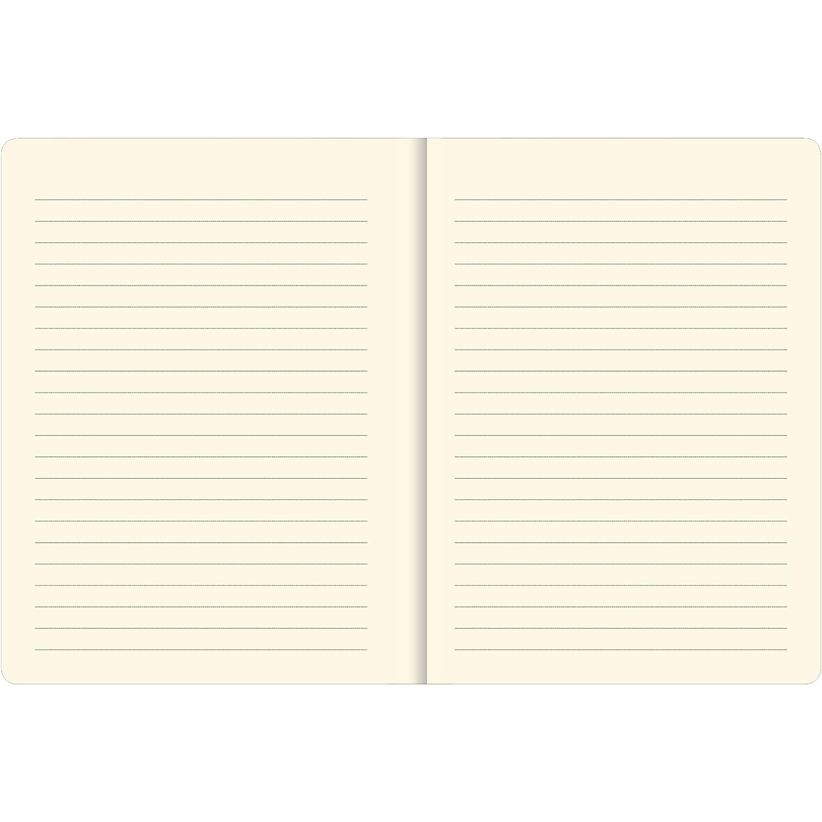 Watercolor Feathers Journal (Diary, Notebook)