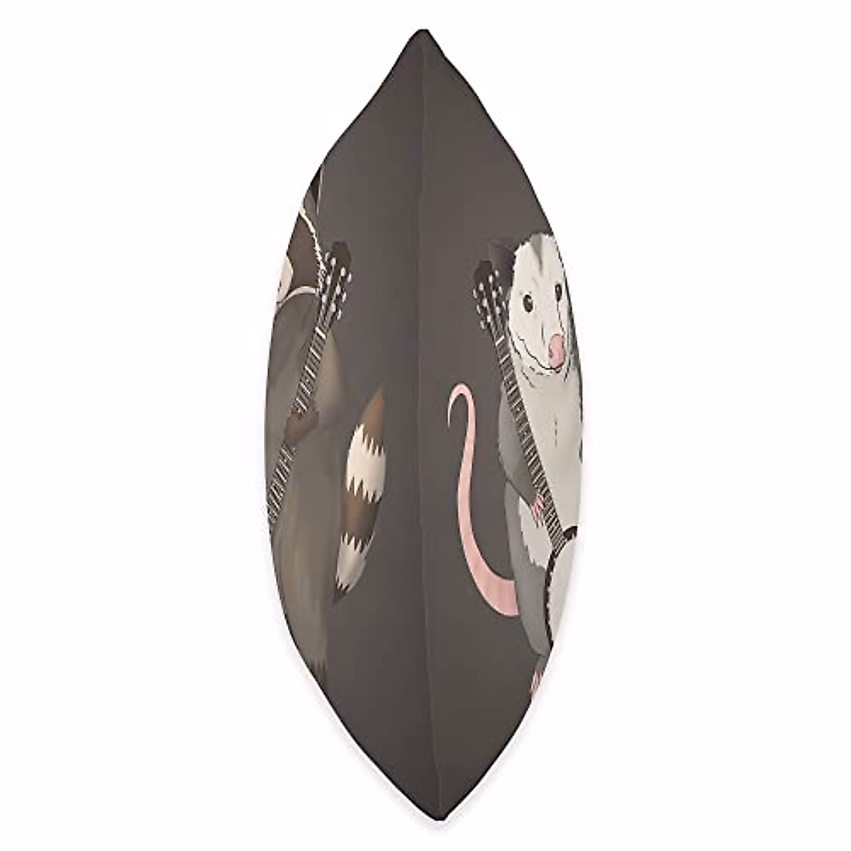 Raccoon and Possum Wildlife Pals Opossum and Raccoon Musicians with Banjos Throw Pillow, 18x18, Multicolor