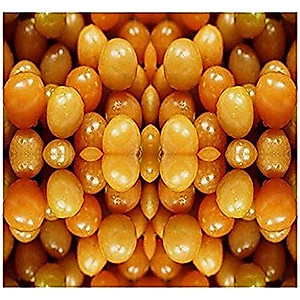 Cape Gooseberry Ground Cherry Seeds - Hundreds of Fruit on Each Plant. (100 - Seeds)