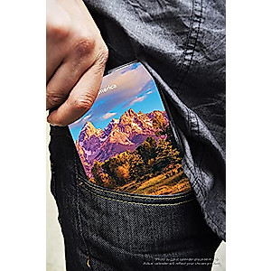 Vintage Blooms Fleurs Classiques 2022 3.5 x 6.5 Inch Two Year Monthly Pocket Planner, Flower Artwork Design