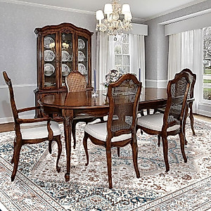 HZODJBH Machine Washable Area Rugs with Non-Slip Backing, Ideal for Hallway, Living Room, Bedroom, Kitchen and Laundry Room, Vintage and Low Pile Rug (7' x 10')