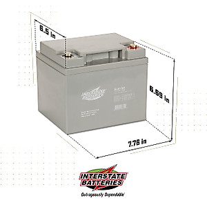 Interstate Batteries 12V 44Ah Battery (Insert Terminal) SLA AGM VRLA Rechargeable Replacement for UPS Backup Power, Fire & Security, Emergency Lighting (SLA1161)