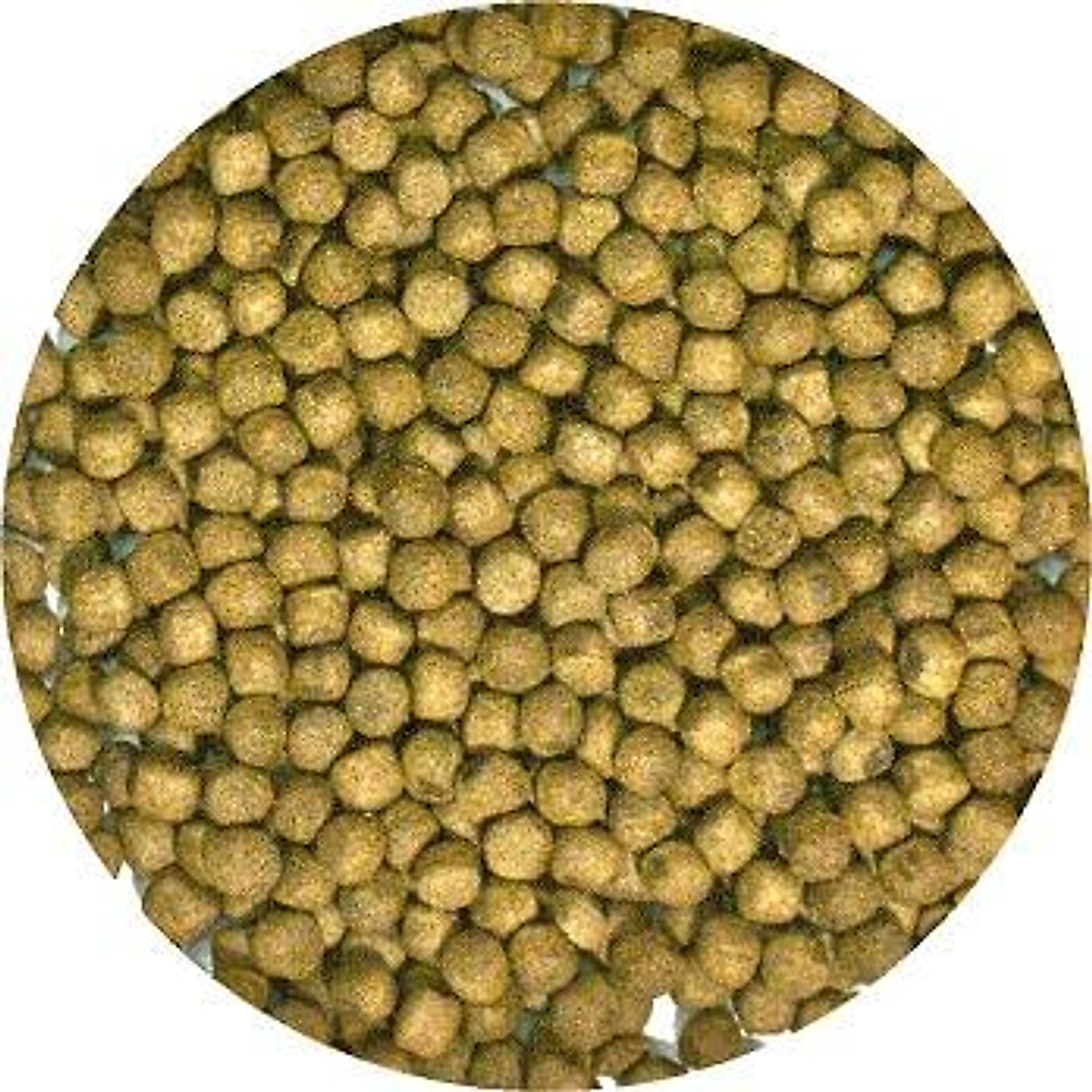 Zoo Med Natural Aquatic Turtle Food Maintenance Formula [Set of 2] Size: 24 Oz.