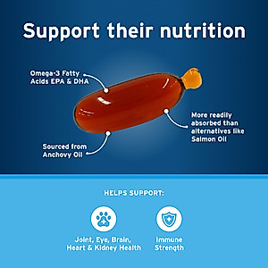 Pet Protect from The Makers of Advantage Omega 3 Supplement for M/L Dogs | 250 Capsules