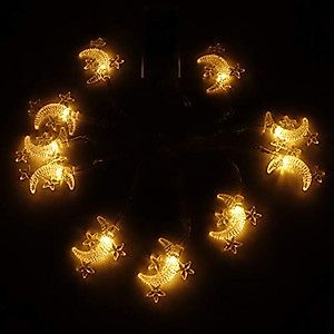 01 LED Light String, Decoration Lamp, Moon Star Pendant Resistant to Pressure and Falls for Indoor and Outdoor Home Decoration, Garden Lighting