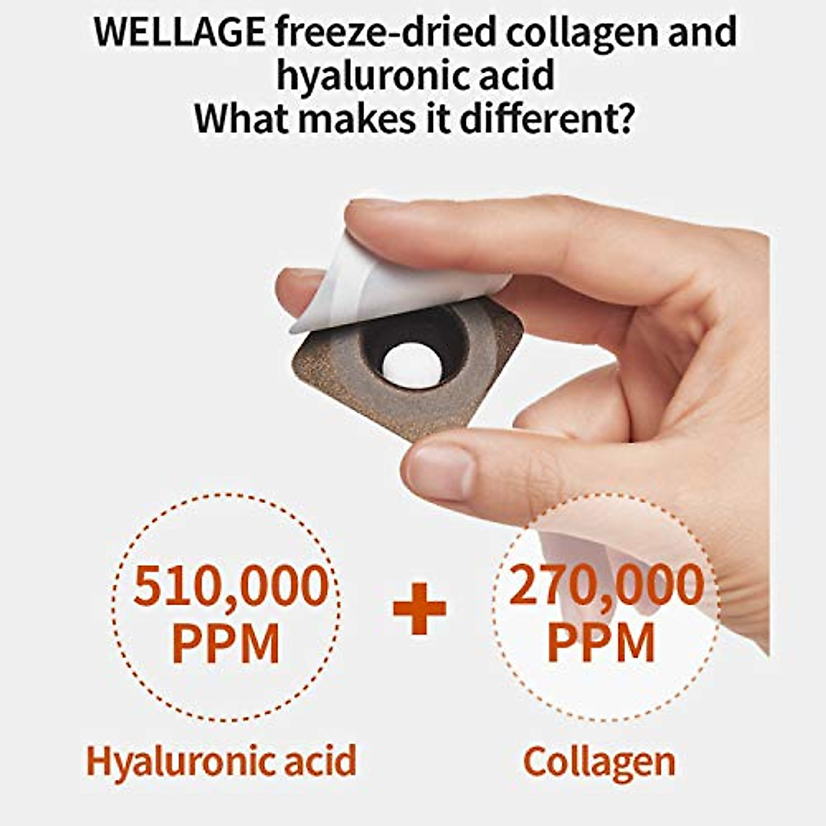 WELLAGE Real HA Bio Lift One Day Kit 7ea, Anti-Aging Serum with Concentrated Collagen, Bouncy and Firm Skin, High Nourishing Formula with 24K Gold and Peptides, Golden Ray for Aging and Loose Skin