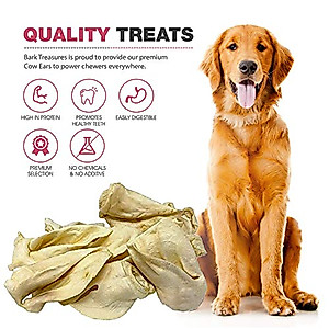 Bark Treasures - Cow Ears Dog Treats (12 Pack) - Whole Thick Cow Ear Dog Chews - Safe Rawhide Alternative - Cow Ears for Dogs