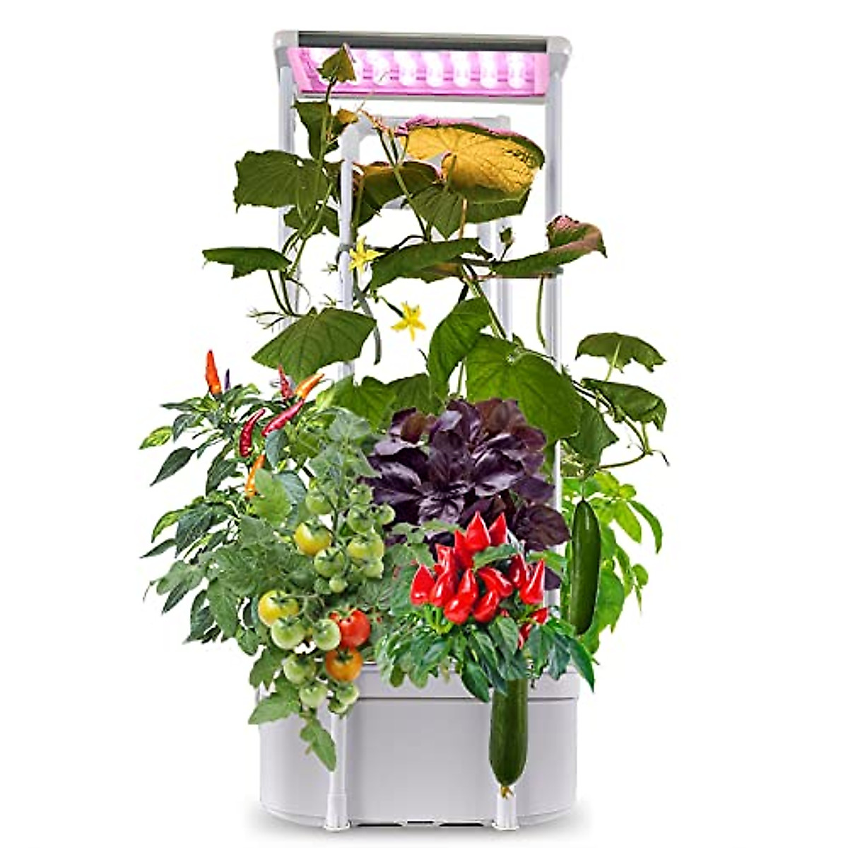eSuperegrow Hydroponics Growing System,Smart Hydroponic Gardening System with LED Grow Light,Indoor Garden Hydroponic Herb Grow Kit with Climbing Trellis for Short Tomato,Basil,Pepper,Cucumber