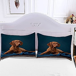 Quilt Cover Queen Size Hungarian Hound 3D Bedding Sets Dog, Animal Duvet Cover Breathable Hypoallergenic Stain Wrinkle Resistant Microfiber with Zipper Closure,beding Set with 2 Pillowcase