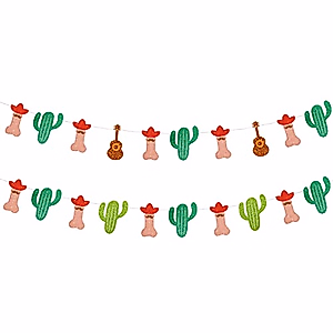 Rose Gold Final Fiesta Banner Garland Cactus Banner for Mexican Fiesta Bachelorette Party Decorations