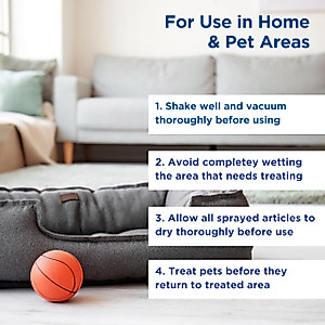 Zodiac Carpet & Upholstery Aerosol Spray, 16-ounce