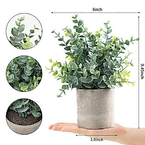 Coferset 2 Pack Small Fake Plants Eucalyptus Potted Artificial Plants for Shelf Desk Home Bathroom Farmhouse Room Decor (Eucalyptus, 2)