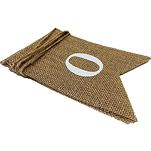 Shimmer Anna Shine First Birthday Banner ONE High Chair for Baby Boy and Girl and Anniversary Party Cake Decorations Burlap (White Print)