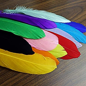 120pcs Colorful Goose Feathers for DIY Crafts, Jewelry Making, Wedding, Home or Party Decorations, 12 Colors (6-8 Inches)