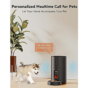WOPET FT50 Automatic Cat Food Dispenser - Automatic Cat Feeders with Programable 1-6 Meals, Automatic Dog Feeder with Stainless Bowl, Timed Cat Feeder with 10S Voice Recorder for Cat and Dog, Black