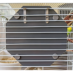 dcDalton Birdcage Mirror 5 Inch Glass with Beveled Edge Octagon Shape | Assembled in USA