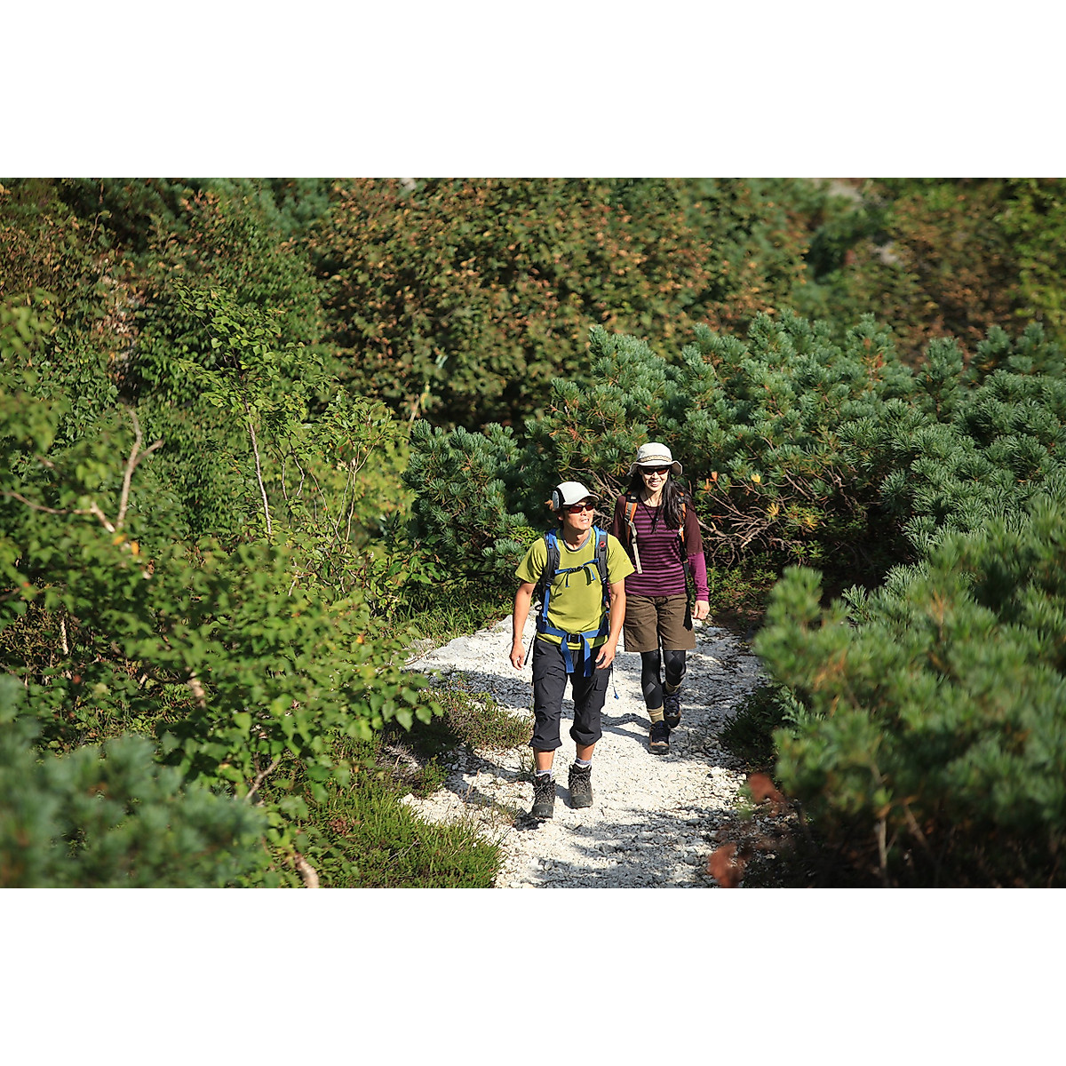 Suncloud Optics Cookie Sunglasses (Black Backpaint with Gray Polarized Polycarbonate Lens)