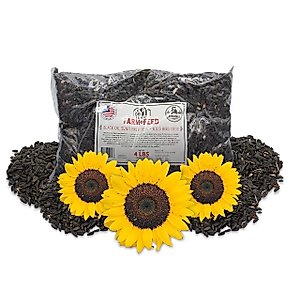 FAMILY FARM AND FEED | Four Season | Black Oil Sunflower Seed | 4 Pounds | Wild Bird Food | Backyard Songbird