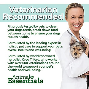 Animal Essentials Liver Defense Liver Support for Dogs & Cats, 1 fl oz - Made in USA, Dandelion & Milk Thistle