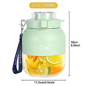 OKYUK 17 Oz Portable Blender, USB Rechargeable, Green, 10 Blades, 18500 RPM, Powerful Crushing, Fast Juicing, 0.5L Capacity
