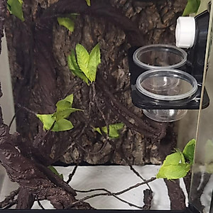 MRTIOO 100pcs 1oz Crested Gecko Food and Water Feeding Cups, Reptile Feeder Bowls, for Lizard and Other Small Pet Ledge Accessories Supplies