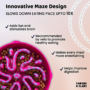 Pawsing N Claws Slow Feeder Dog Bowl - Anti-Choking & Non Slip Interactive Dog Feeding Bowls for Dry/Wet Food That Slow Down Eating Dog Bowl - Maze Puzzle Design Bowl - Large (Purple)