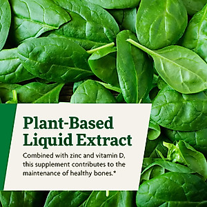 Floradix Calcium Magnesium Liquid Herbal & Mineral Supplement - Bone & Joint Support Supplement with Calcium, Magnesium, Vitamin D & Zinc - Vegetarian, Non-GMO - 17 fl oz