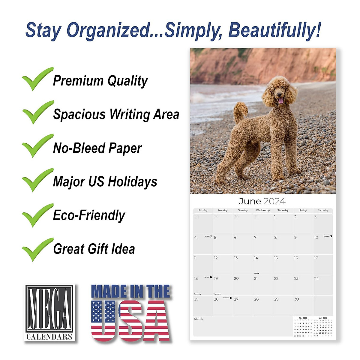 2023 2024 Poodle Calendar - Dog Breed Monthly Wall Calendar - 12 x 24 Open - Thick No-Bleed Paper - Giftable - Academic Teacher's Planner Calendar Organizing & Planning - Made in USA