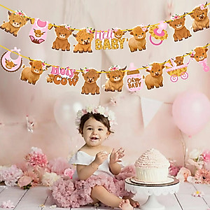 Pink Highland Cow Banners 2Pcs Highland Cow Baby Shower Party Decorations Holy Cow Baby Shower Banner Highland Cattle Cutout Decorations for Girl Oh Baby Cow Birthday Party Supplies