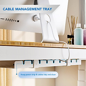 FLEXISPOT Q8 55" Bamboo Desktop w/Wireless Charging, Electric Standing Desk with Drawers, Dual Motor 3 Stages Sit Stand up Desk with Cable Management Tray (White Oval Legs + Bamboo Top, 2 Packages)