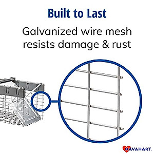 Havahart 1026 Small 1-Door Humane Live Catch and Release Animal Trap for Squirrels, Weasels, Chipmunks, and Small Animals,White