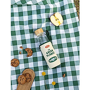 Grupo Erik BT21 Official Merchandise Koya Glass Water Bottle - 500ml / 17oz - Glass Bottle - Hot&Cold Water Bottle - Water Bottle 500ml - BT21 Merchandise - BT21 Koya - Kawaii Water Bottle