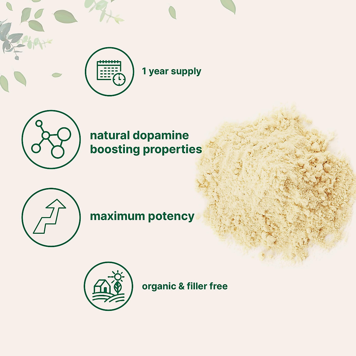 Micro Ingredients Organic Mucuna Pruriens Extract Powder,1 Pound (908 Servings), Pure Mucuna Supplement, Promote Mood, Brain Health and Boosts Immune System, Energy, Vegan Friendly