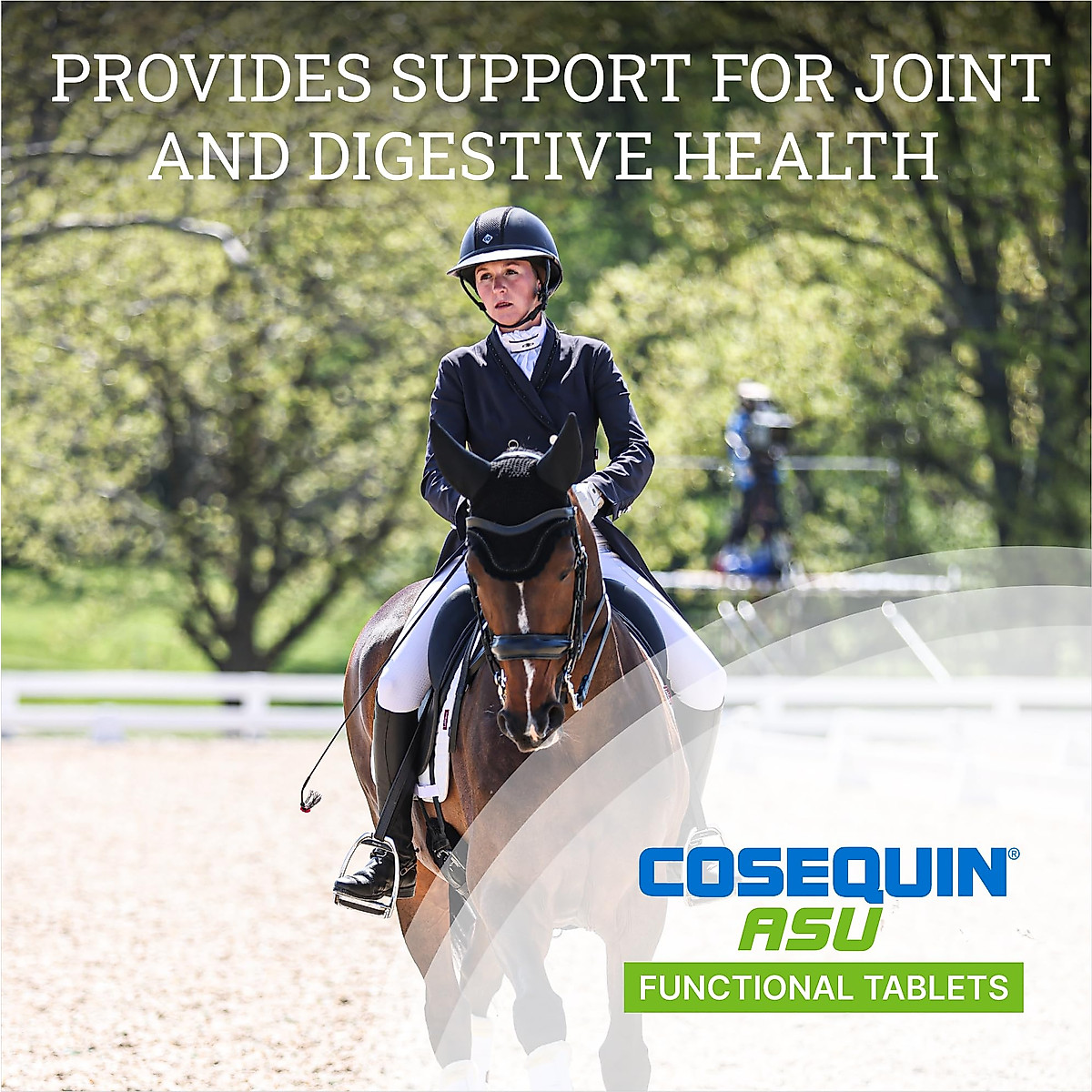Cosequin ASU Joint & Digestive Health Functional Tablets for Horses, 240 Tablets