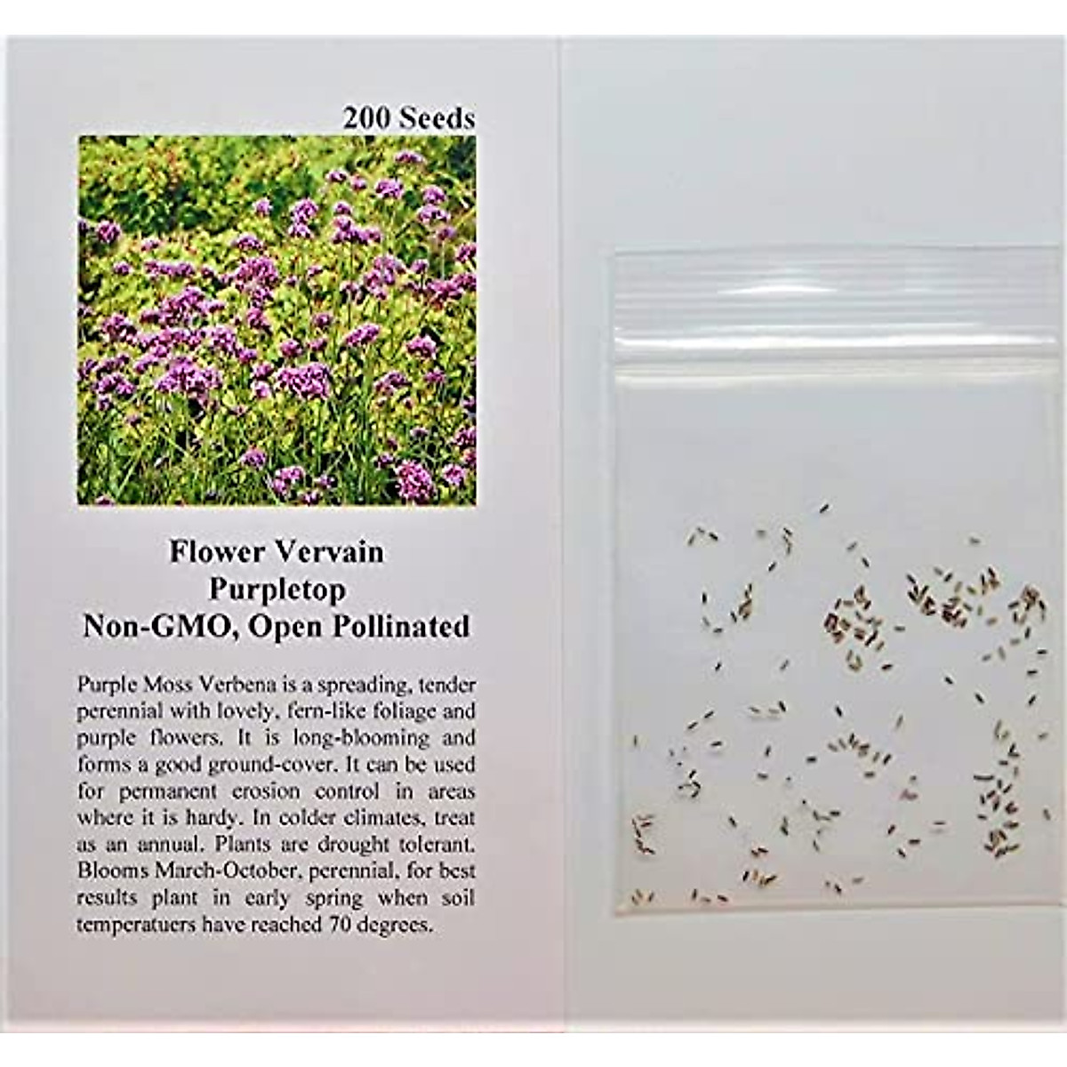 David's Garden Seeds Flower Vervain Purpletop FBA-00088 (Purple) 200 Non-GMO, Heirloom Seeds