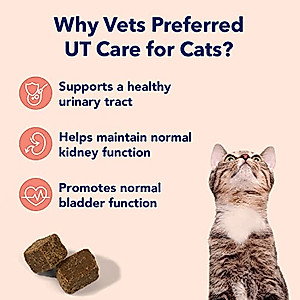Vets Preferred Cat Urinary Tract Chews – UT Care Health Soft Chews – Supports Healthy Urinary Tract – Promotes Normal Bladder and Kidney Function - Chicken Flavored - for All Cat Sizes - 60 Count