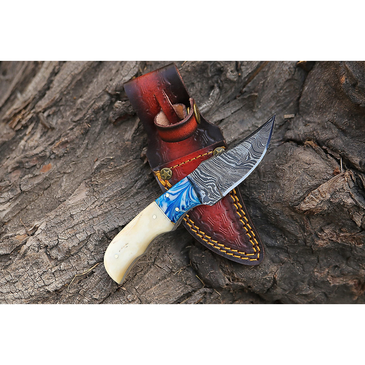 KNIFEIFY skinner fixed blade Knife: Handcrafted Elegance with Bone Handle - Perfect for Collectors and Outdoor Enthusiasts (CAMEL BONE)