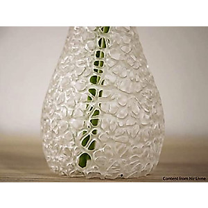 Siraya Tech Simple 3D Printer Resin Water Washable 3D Printing Resin Super Easy to Clean and Print LCD UV-Curing Resin Needs Much Less Alcohol for LCD DLP 3D Printing 8K Capable (Clear, 1kg)
