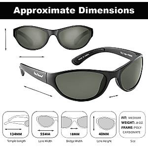 Flying Fisherman 7865BS Sunglass, Matte Black Frames/Smoke Lenses, One Size