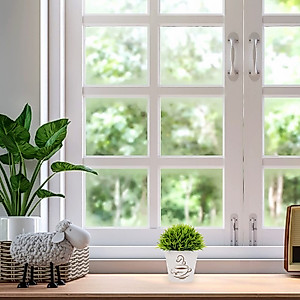 Happyyami 5 Pcs Flowerpot Indoor Planters Flower Succulent Pots Plants Pot Starting Pots Paintable Planter Pots Gardening Containers Mini Flower Pot White Vegetable Succulents Plastic Child