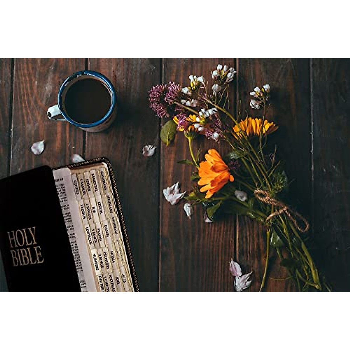 Tabbies Catholic Gold-Edged Bible Indexing Tabs, Old & New Testament Plus Catholic Books, 90 Tabs Including 71 Books & 19 Reference Tabs (58330)