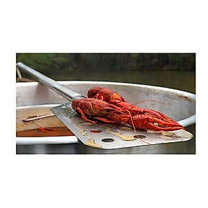 Bayou Classic 1042, 42-in Stainless Steel Stir Paddle (Twо Расk)