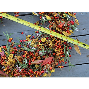 The Wreath Depot Appalachia Berry Silk Fall Door Wreath 24 inch, Handcrafted, Designed in USA, Full Wreath Shape and Size, Beautiful White Gift Box Included