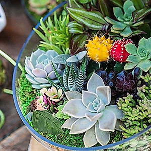 Cabilock 5pcs Fairy Garden Figurines Miniature Sleeping Angel Ornament DIY Fairies Figure Dollhouse Decoration for Landscape Scenes Bonsai Crafts Flower Pots Accessories Green