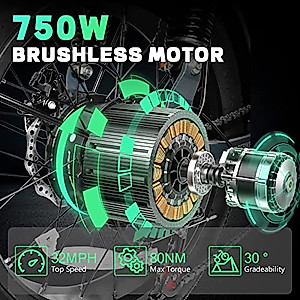 Fucare Libra Electric Bike 750W 32Mph 48V 20Ah Lithium LG Battery 5.0" Color Display 7 Speed 20"X4.0"All-Terrain Fat Tire Full Suspension Ebikes for Adults