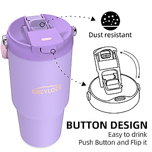 Greylock 30 oz Tumbler with Handle, Vacuum Insulated Tumblers with Flip Straw and Top Handle, Reusable Tumbler with Lid and Straw for Home, Office or Car, Leak-Proof Travel Mug, Keep Cold for 24 Hrs