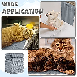 Reginary 10 Pcs Guinea Pigs Blankets Hamster Fleece Cage Liners Coral Fleece Quick Dry Soft Blankets Bedding Guinea Pig Accessories for Cat(14 x 30 Inch,Gray)