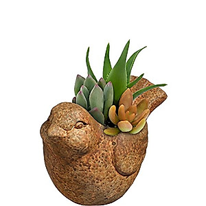 Classic Home and Garden 9/3411R/1 Bird Planter, Small, Rust
