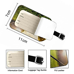 Zoczos Golf Club and Ball Suitcase Identify Labels Green Grass Sports Training Golf Player Luggage Tags with Sturdy Buckle Straps Privacy Flap for Women Men Boys Girls, 1 Pack